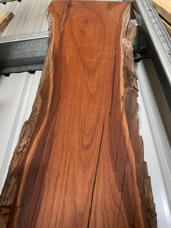 Red Cedar Slab – Tweed River Timbers