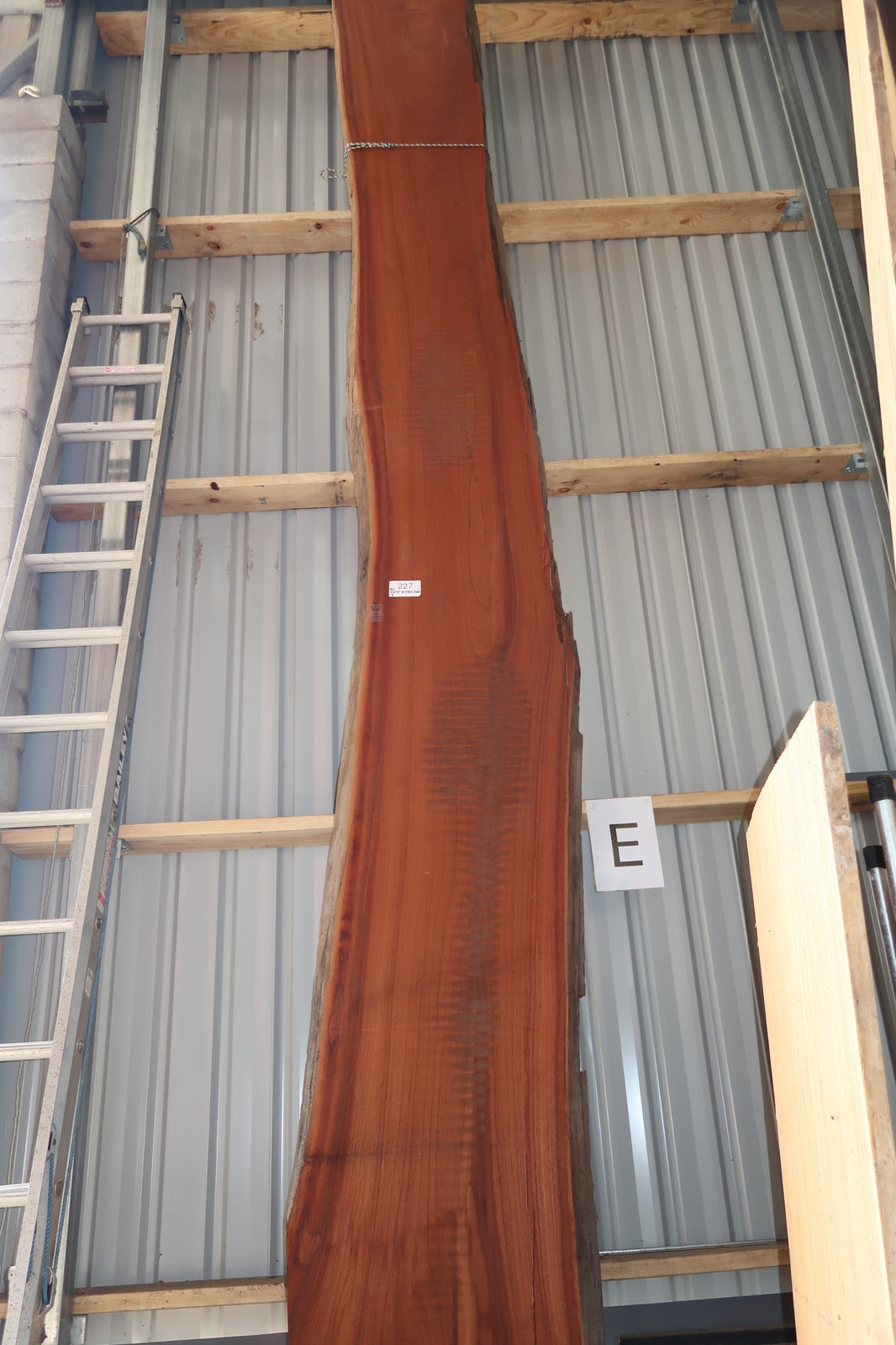 Red Cedar – Tweed River Timbers