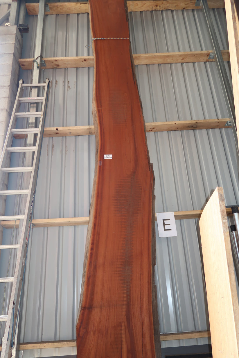Red Cedar Slab – Tweed River Timbers
